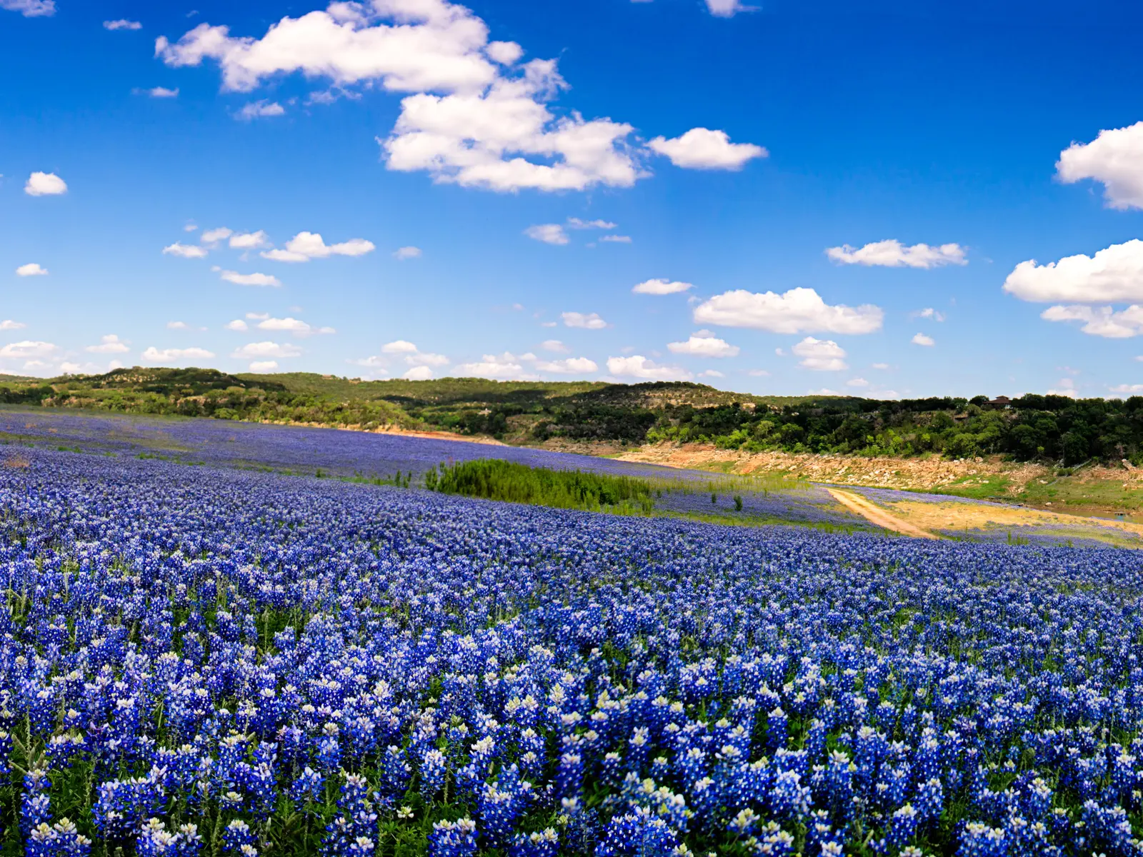 What We Do | Texas Indigent Defense Commission